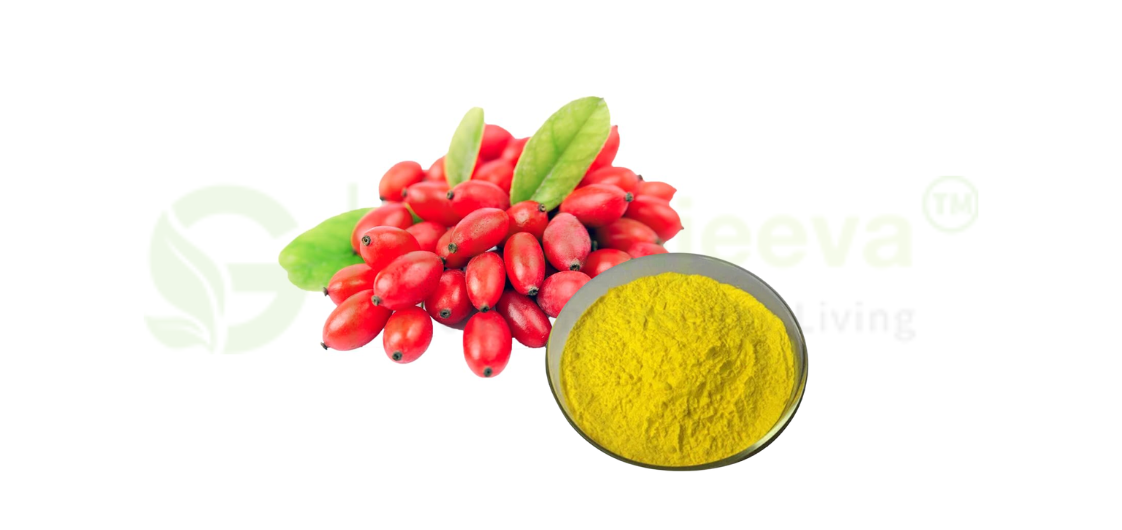 Innovative Uses of Berberine Powder in Functional Foods & Beverages