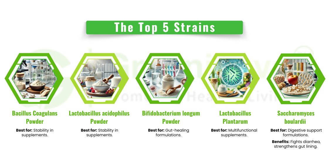 Top 5 Organic Probiotic Strains for Health Supplements in 2025