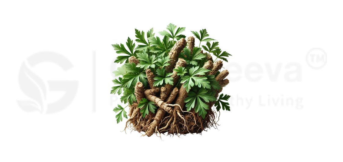Stone Root Herb: The Future of Adaptogenic and Stress Relief Supplements