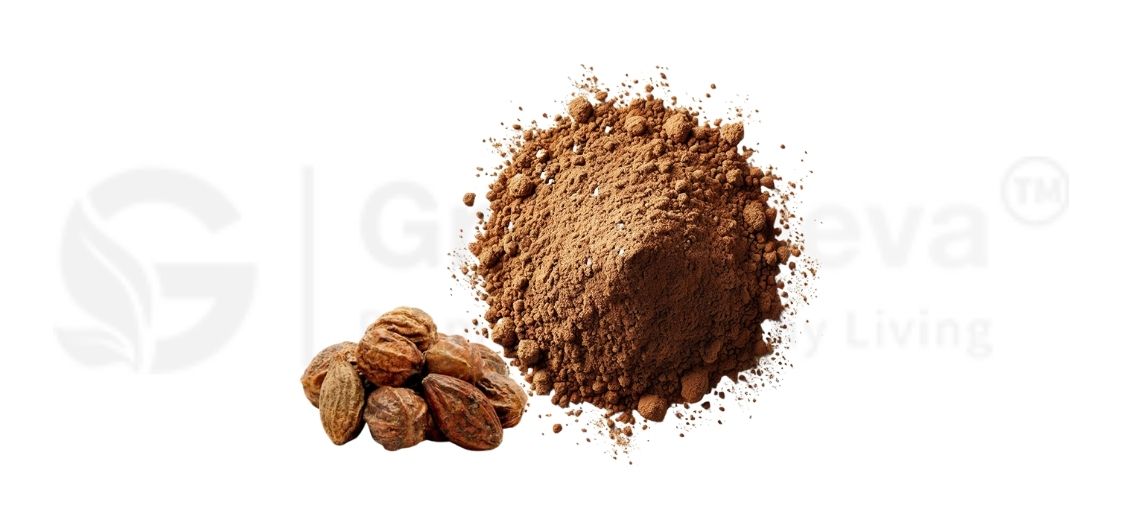 Terminalia Chebula as a High-Performance Botanical Extract