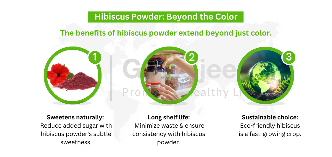 Hibiscus Powder Application in B2B As Natural Colorant