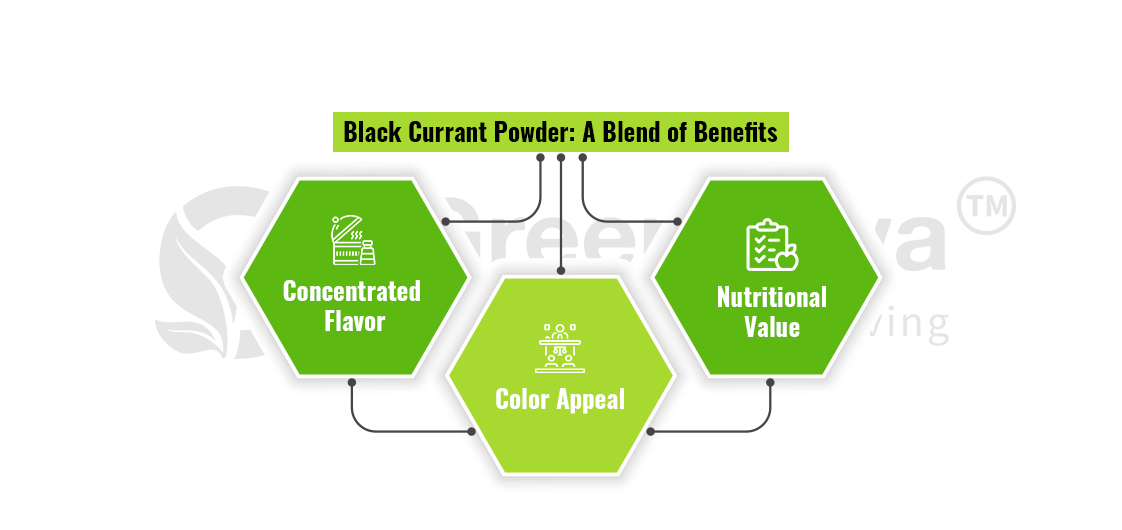 Exploring the Versatile Applications of Black Currant Powder